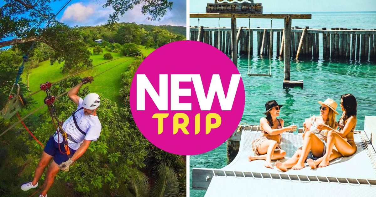 Discover the New Rainforest and Reef Explorer - Thatch Caye | Island ...